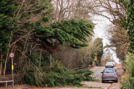 Strong Winds Causing Damage Storm Eunice Editorial Stock Photo - Stock ...