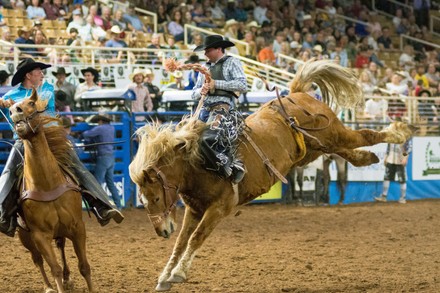 Kade Bruno Challis Idaho Usa Competes Editorial Stock Photo - Stock ...