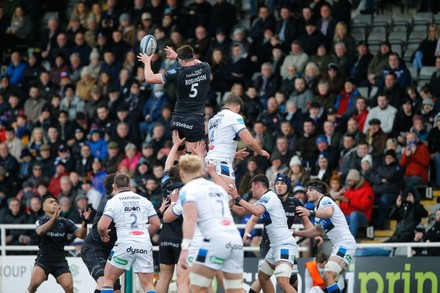 Newcastle Falcons v Bath Rugby Gallagher - Premiership, United Kingdom ...
