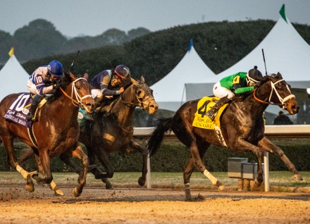 750 Rebel horse Stock Pictures, Editorial Images and Stock Photos ...