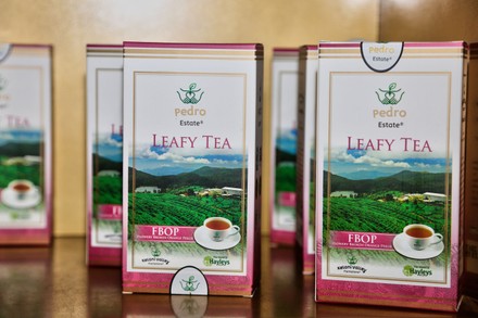 Packages Tea Displayed Lovers Leap Ethical Editorial Stock Photo ...
