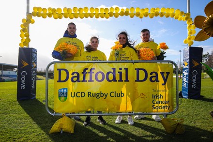 UCD Rugby To Host Annual Daffodil Day Collection In Aid Of The Irish ...
