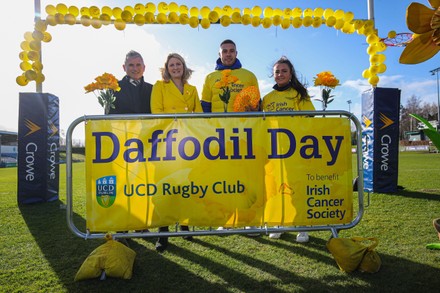 UCD Rugby To Host Annual Daffodil Day Collection In Aid Of The Irish ...