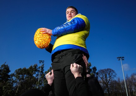 Ucd Rugby Will Host Annual Daffodil Editorial Stock Photo - Stock Image ...