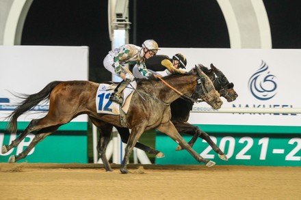 250 Dubai racing club Stock Pictures, Editorial Images and Stock Photos ...