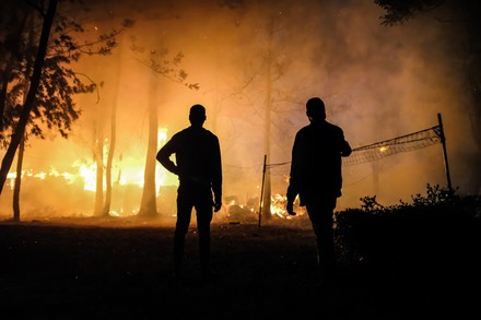 Man Takes Pictures During Fire Outbreak Editorial Stock Photo - Stock ...