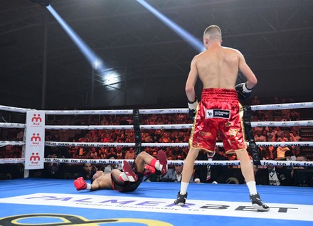 World Boxing Organization Asia Pacific super featherweight title bout Liam Wilson vs Joe Noynay ...