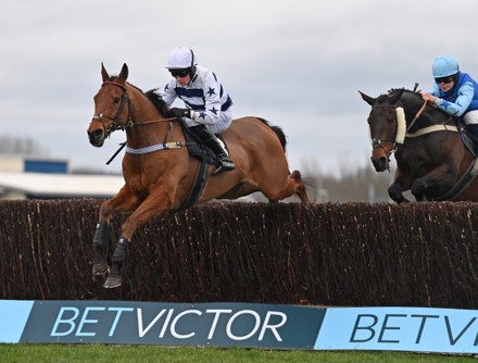 Newbury Races, Newbury Racecourse, UK - 05 Mar 2022 Stock Pictures ...