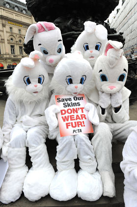 46 Protest sign placard anti fur Stock Pictures, Editorial Images and ...