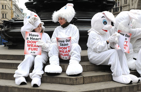 46 Protest sign placard anti fur Stock Pictures, Editorial Images and ...