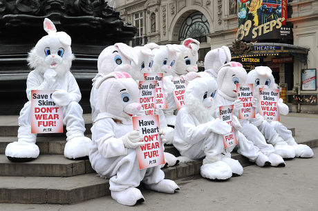 46 Protest sign placard anti fur Stock Pictures, Editorial Images and ...