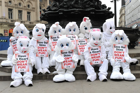 Protesting Peta Rabbits Editorial Stock Photo - Stock Image | Shutterstock