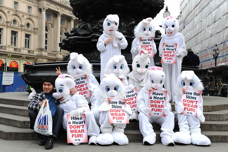 46 Protest sign placard anti fur Stock Pictures, Editorial Images and ...