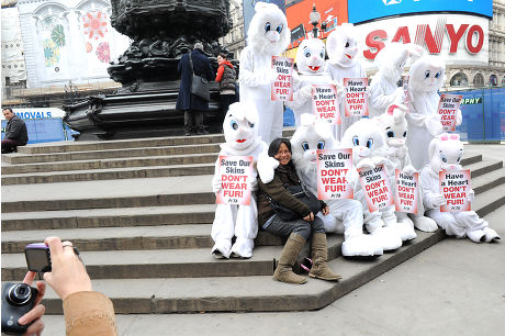 Protesting Peta Rabbits Editorial Stock Photo - Stock Image | Shutterstock