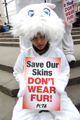 Protesting Peta Rabbits Editorial Stock Photo - Stock Image | Shutterstock
