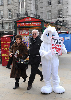 46 Protest sign placard anti fur Stock Pictures, Editorial Images and ...