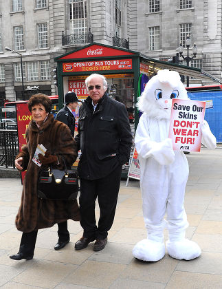 46 Protest sign placard anti fur Stock Pictures, Editorial Images and ...