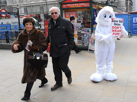 46 Protest sign placard anti fur Stock Pictures, Editorial Images and ...