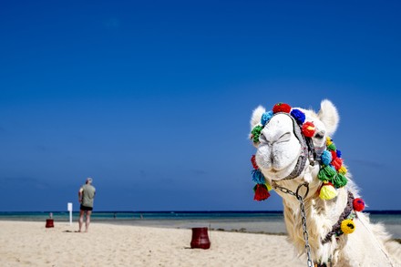 People Tourists Enjoy Spring Break Sun Editorial Stock Photo - Stock ...