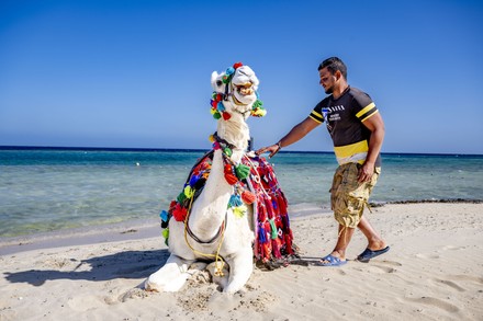 People Tourists Enjoy Spring Break Sun Editorial Stock Photo - Stock ...