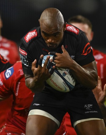 Dane Blacker Llanelli Scarlets L Steff Editorial Stock Photo - Stock ...