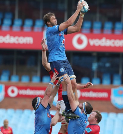 Walt Steenkamp Vodacom Bulls Wins Line Redaktionelles Stockfoto ...