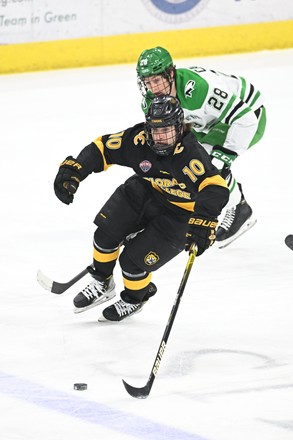 Colorado College Tigers Forward Patrick Cozzi Editorial Stock Photo ...