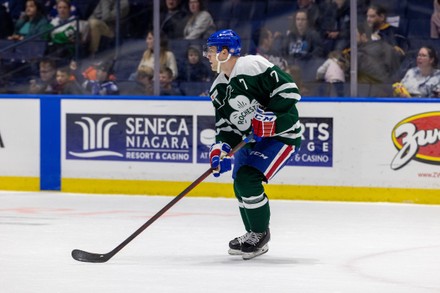 Rochester Americans Defenseman Ethan Prow 7 Editorial Stock Photo ...