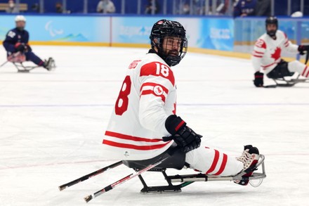 Billy Bridges Can Para Ice Hockey Editorial Stock Photo - Stock Image ...