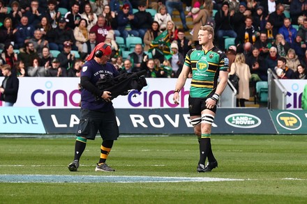 Northampton Saints Lock David Ribbans Takes Editorial Stock Photo ...