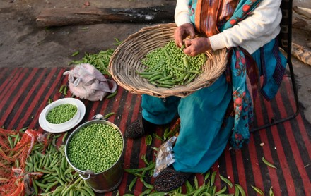 Women Working Prepare Food Protest Site Editorial Stock Photo - Stock ...