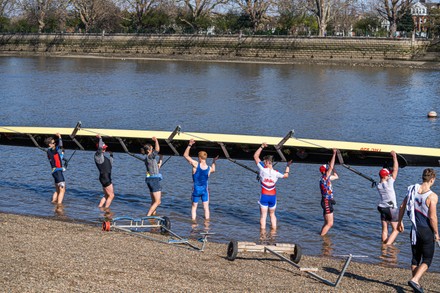 Rowing Boats Practicing On River Thames Editorial Stock Photo - Stock ...