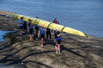 Rowing Boats Practicing On River Thames Editorial Stock Photo - Stock ...