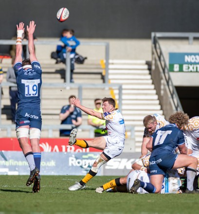 Gus Warr Sale Sharks Distributes Maul Editorial Stock Photo - Stock ...