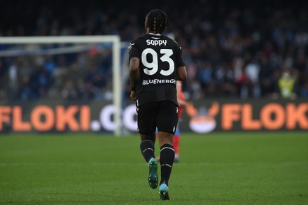 250 Brandon soppy Stock Pictures, Editorial Images and Stock Photos ...