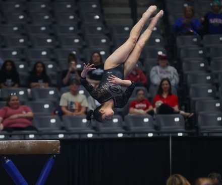 Arkansas Madison Hickey Leaps Into Air Editorial Stock Photo - Stock ...