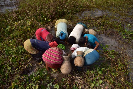 500 Tiwa tribe Stock Pictures, Editorial Images and Stock Photos ...