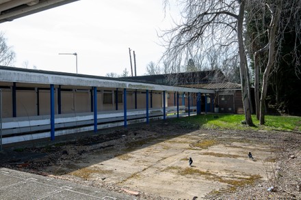 250 Ascot hospital Stock Pictures, Editorial Images and Stock Photos ...
