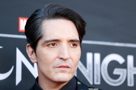 David Dastmalchian Attends Premiere Disneys Moon Editorial Stock Photo ...
