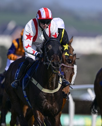 Jack Farmer Ridden By Isabel Williams Editorial Stock Photo - Stock ...