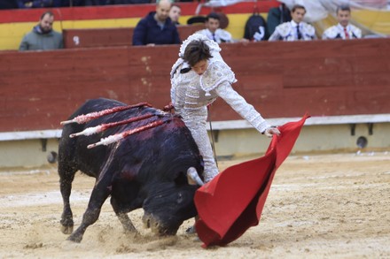 Peruvian Bullfighter Andres Roca Rey Action Editorial Stock Photo ...