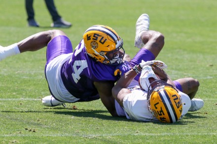 Lsu Wide Receiver Chris Hilton Jr Editorial Stock Photo - Stock Image ...
