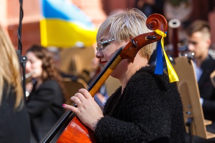 Celloist Philharmonic Academic Symphony Orchestra Performs Editorial ...