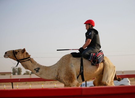 2,000 Camel riding Stock Pictures, Editorial Images and Stock Photos ...