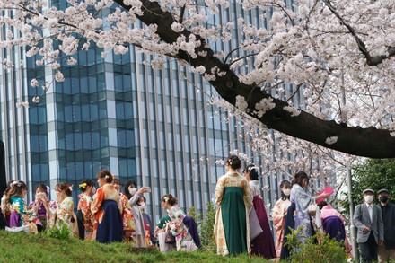 University Graduates Wearing Hakama Kimono Graduation Editorial Stock ...