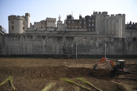 Workers Redesign Moat They Work On Editorial Stock Photo - Stock Image ...