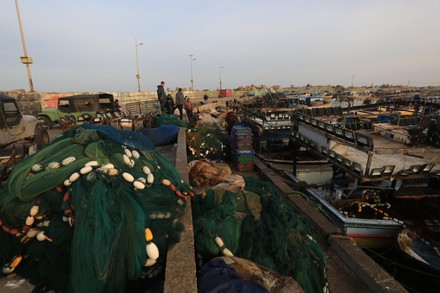 __COUNT__ imágenes de Palestinian fishermen work at Gaza City's main ...