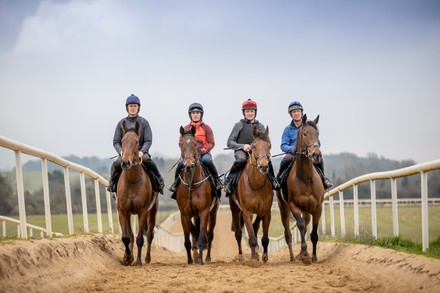 3,000 Gordon elliott Stock Pictures, Editorial Images and Stock Photos ...