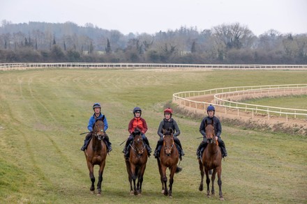 3,000 Gordon elliott Stock Pictures, Editorial Images and Stock Photos ...