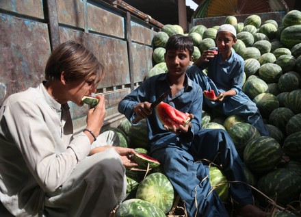 Pakistani Laborers Eat Watermelons They Sort Editorial Stock Photo ...